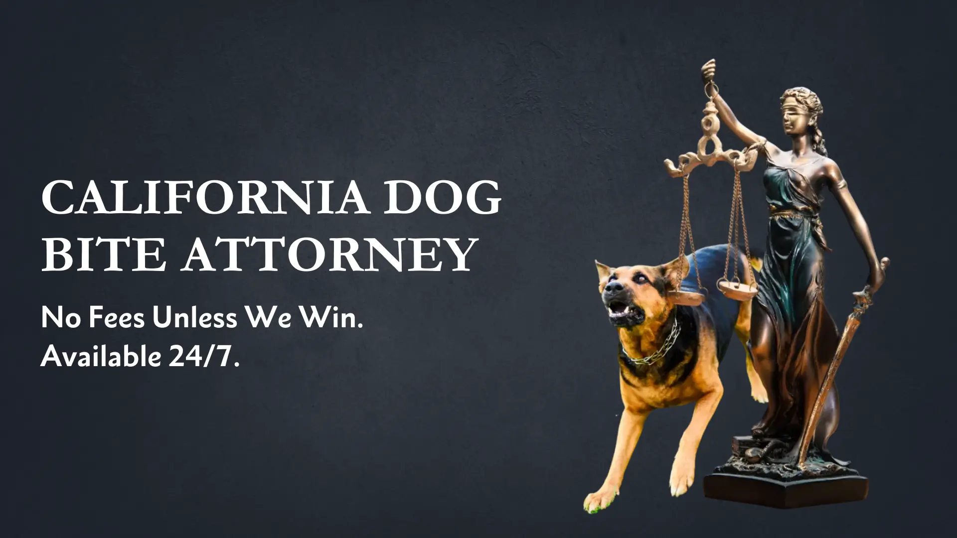 California Dog Bite Attorney | Hablamos Español Call 24/7