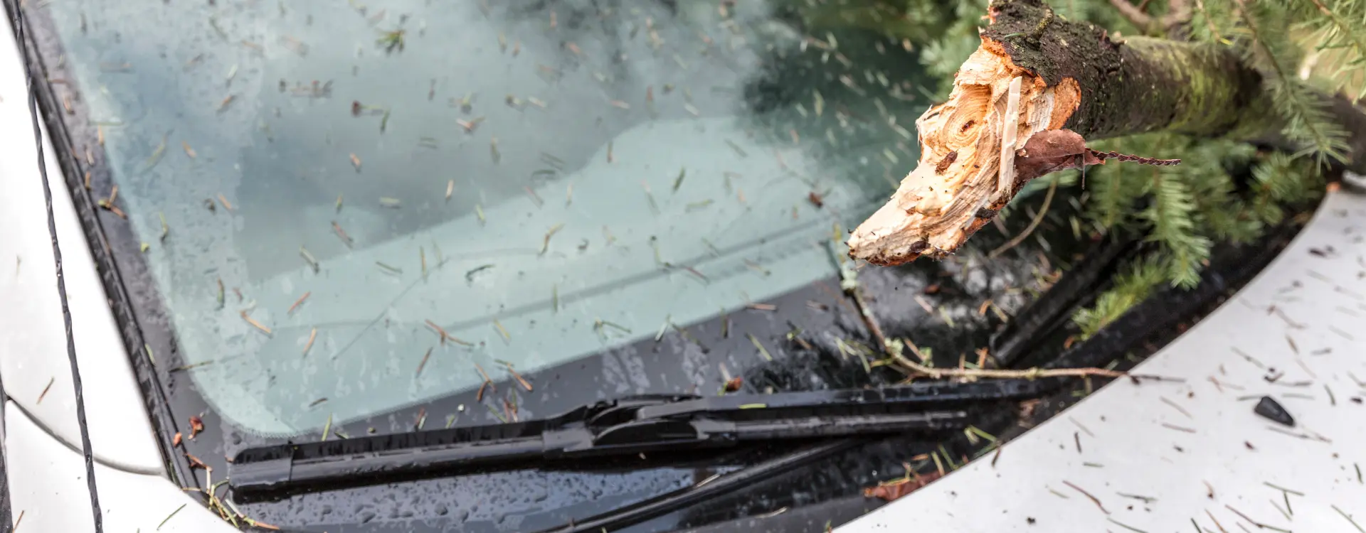 Auto Accident in Mosquito Ridge: Car Plummets 1,000 Feet in Placer ...